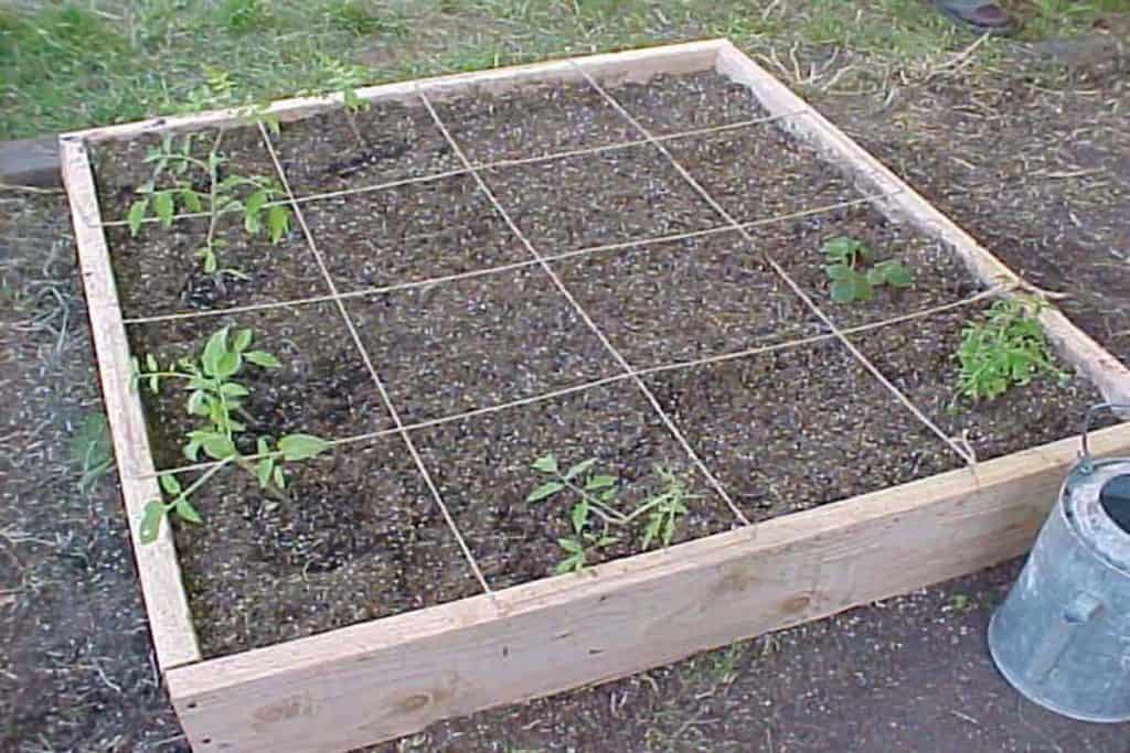  How To Build A Square Foot Garden A Step By Step Guide